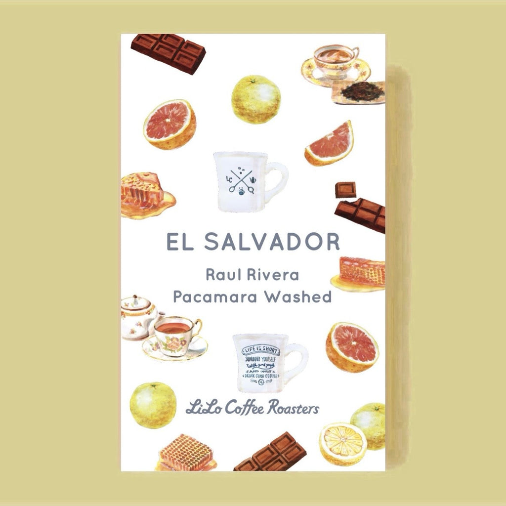 El Salvador Raul Rivera Pacamara Washed | Lilo Coffee Roasters